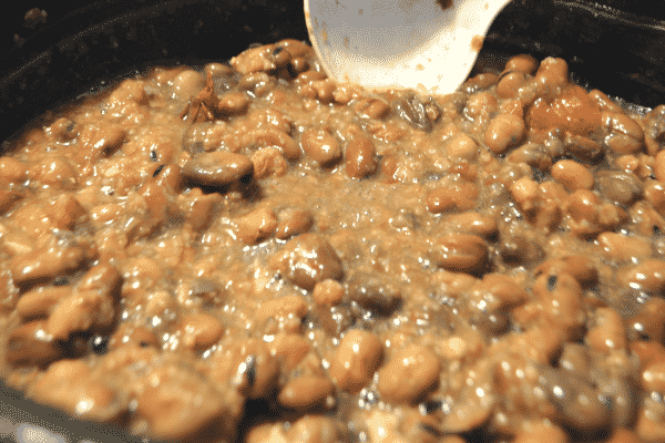 Fava Beans in Slow Cooker (Foul- ful- medames) | Amira's Pantry