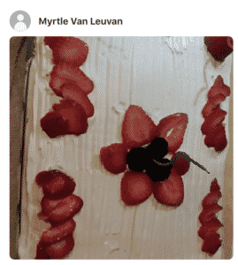 No Bake Mixed Berries Oreo Dessert - Amira's Pantry