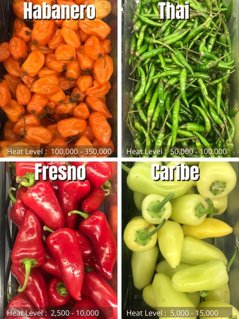 Easy Homemade Harissa (Fresh Ingredients) - Amira's Pantry