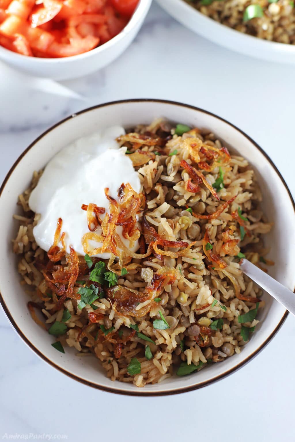 Mujadara {One Pot Lebanese Lentils and Rice Recipe} - Amira's Pantry