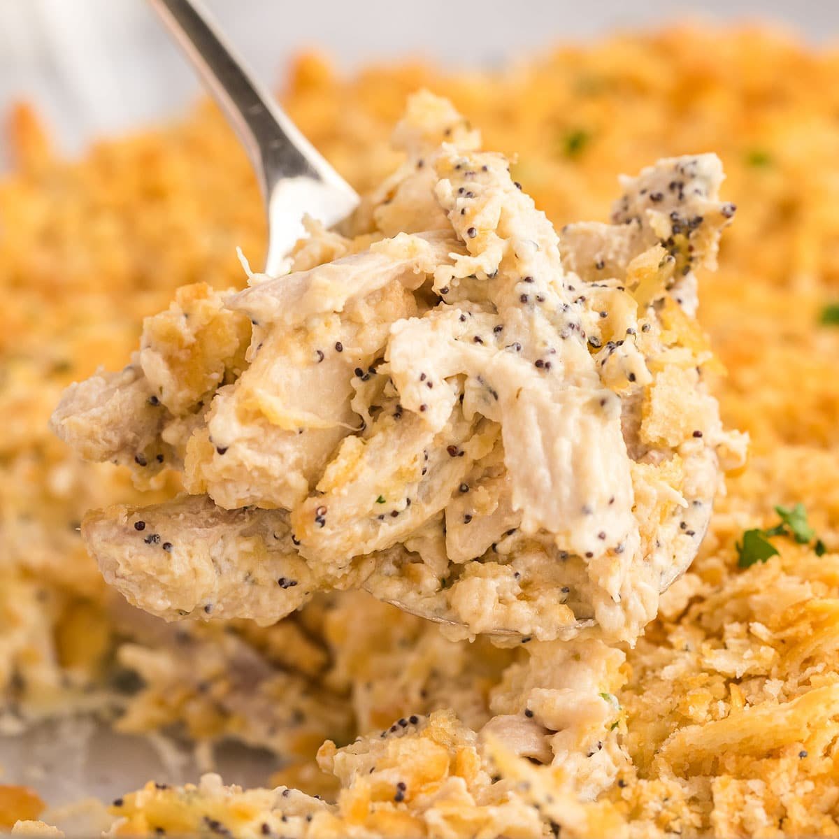 Poppy Seed Chicken Casserole - Amira's Pantry