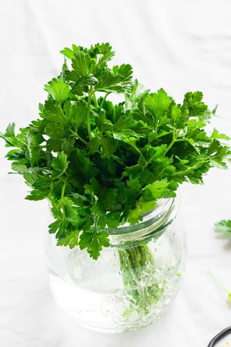 How to Store Parsley (with Easy Method to Dry Herbs) - Amira's Pantry