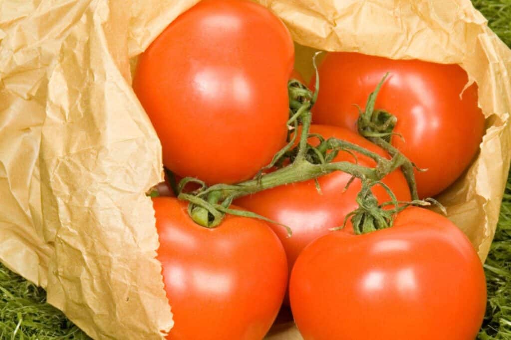 How to Store Fresh Tomatoes (So They Stay Flavorful) - Amira's Pantry